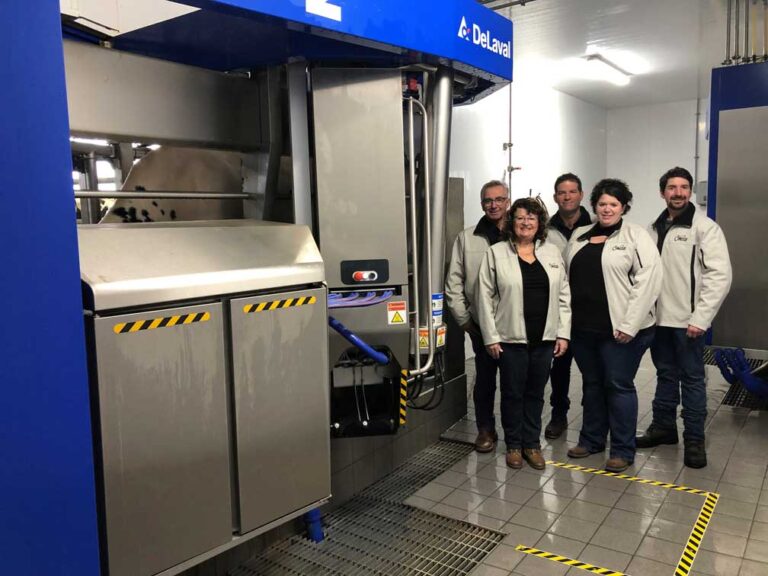 Comestar Holstein – Catalogue d’embryon